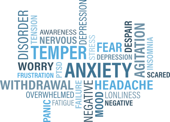 Lists of Mental Illnesses and What They are - HubPages