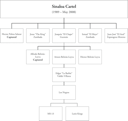 The Sinaloa Cartel: Drug Trafficking & Extensive Global Influence ...