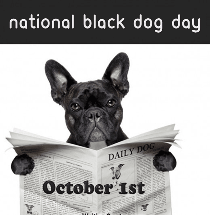 National Black Dog Day - HubPages