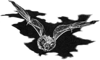 Tik Tik, the Filipino Supernatural Folklore - HubPages