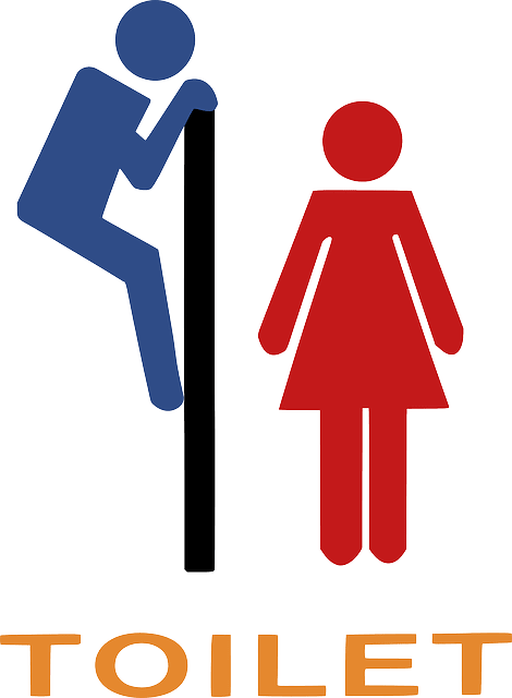 How to Control Your Fear of Using a Public Restroom - HubPages