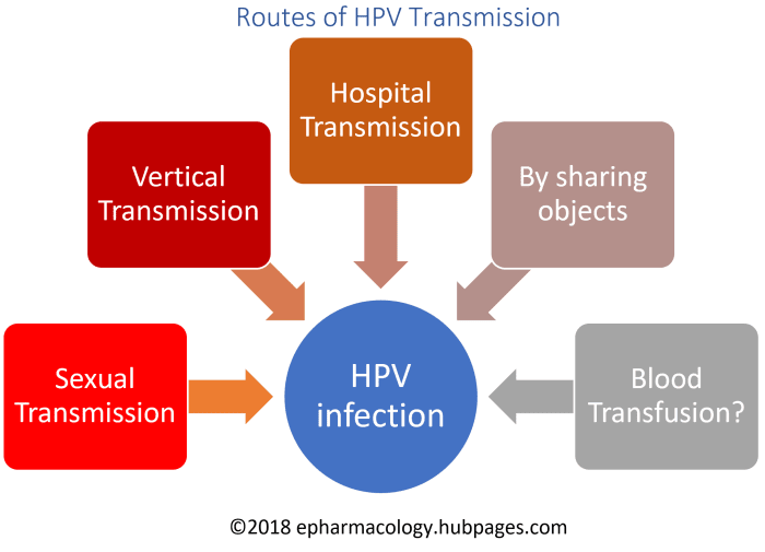 Hpv: Types, Infection, Symptoms, Cancer, Warts, Transmission and More ...