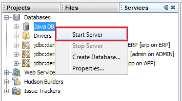 Programming in Java Netbeans - A Step by Step Tutorial for Beginners ...