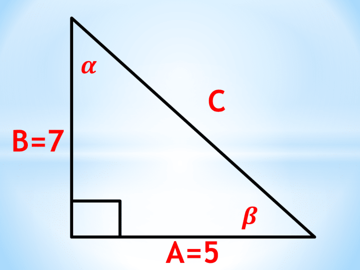 Calculator Techniques for Engineering Mechanics Using Casio Calculators ...