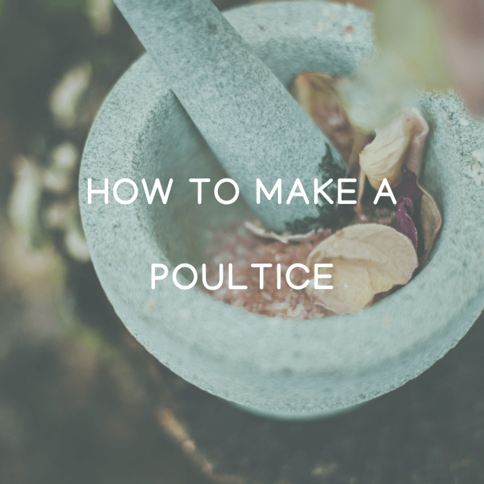 How to Make a Poultice for Removing Splinters, Boils and Abscesses ...