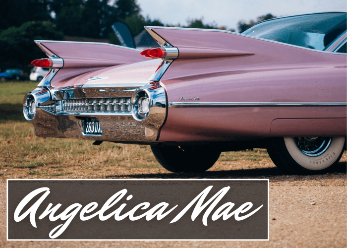 200 Cute Car Names For Girls AxleAddict A Community Of Car Lovers 200 Cute Car Names For Girls AxleAddict A Community Of Car Lovers