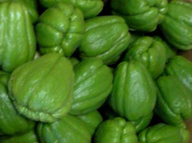 How to Grow Choko (Chayote) - HubPages