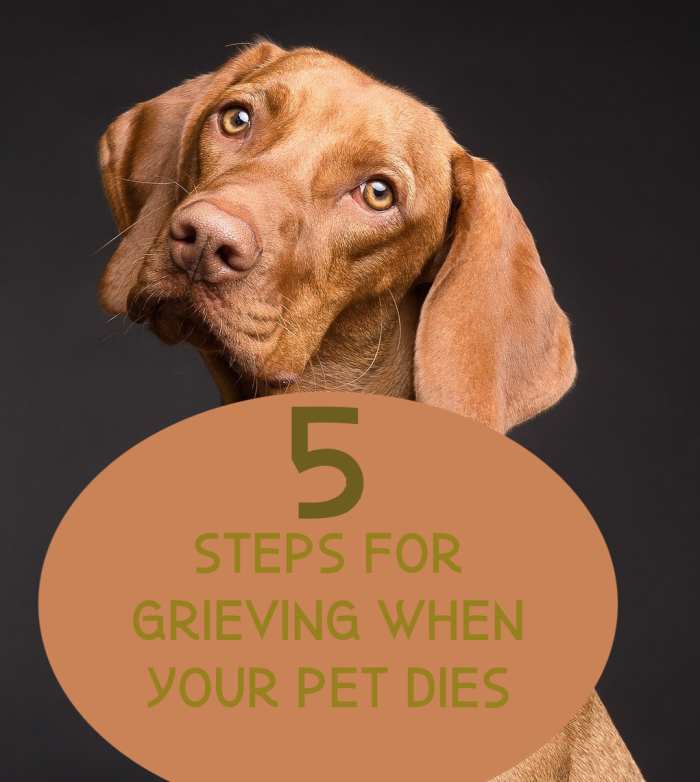 How to Grieve the Death of Your Pet and Heal Your Pain in 5 Steps ...