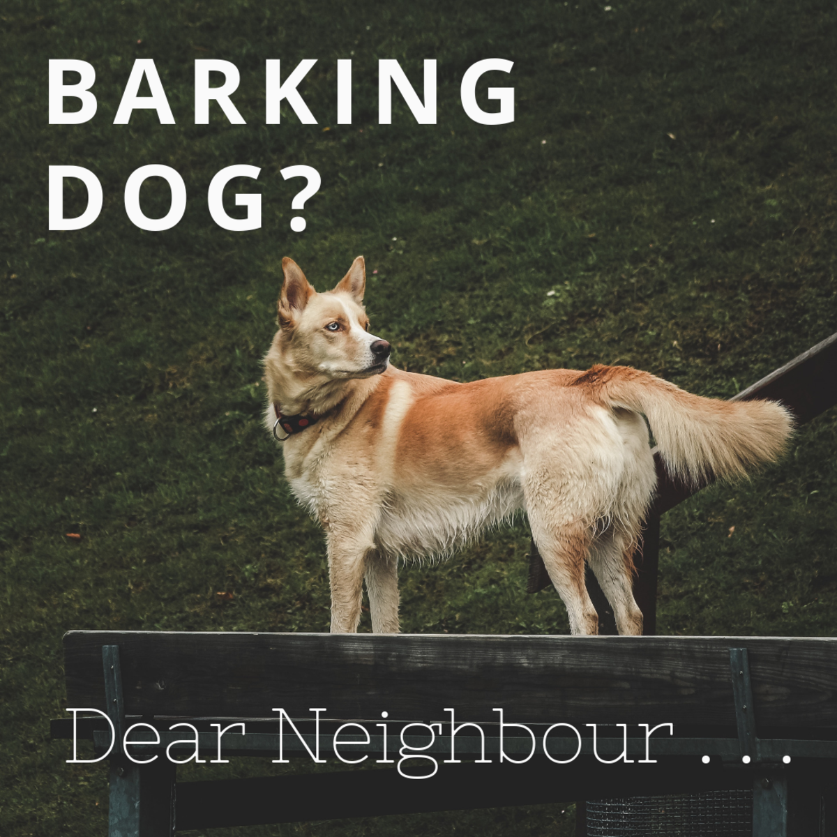How To Write A Letter To Your Neighbour About Their Barking Dog