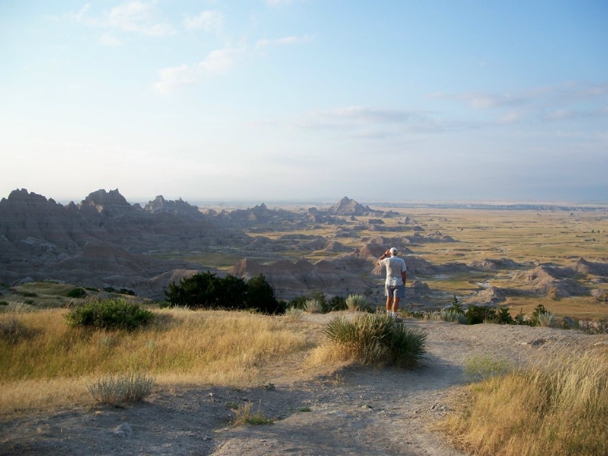 Stephanie Henkel on HubPages