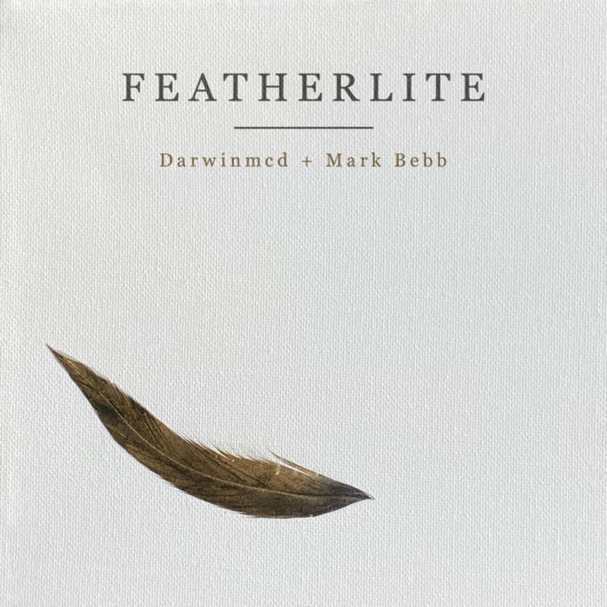 Synthpop Single Review: "Featherlite" by darwinmcd and Mark Bebb - HubPages