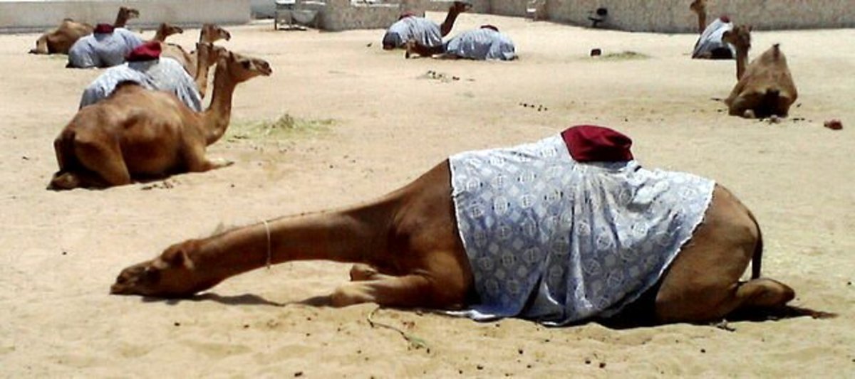 How to Deal With Extreme Heat and Humidity in Doha, Qatar - WanderWisdom