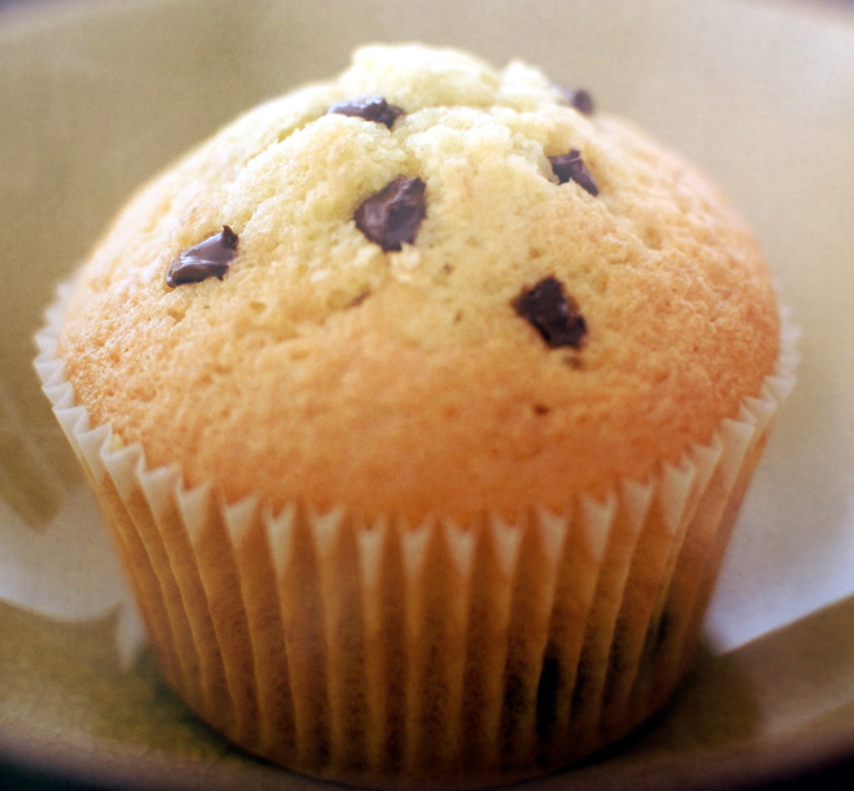 Chocolate Chip Cupcake Recipe Delishably