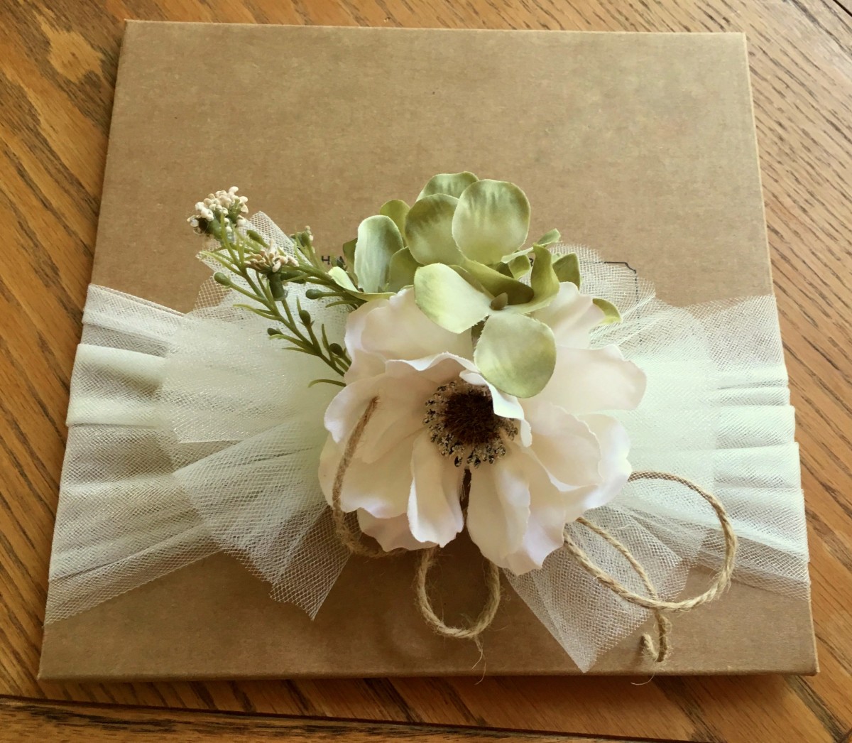 Catherine Tally on HubPages