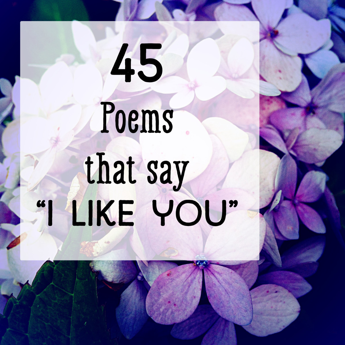  I Like You Poems Short Rhymes And Messages For Guys And Girls 