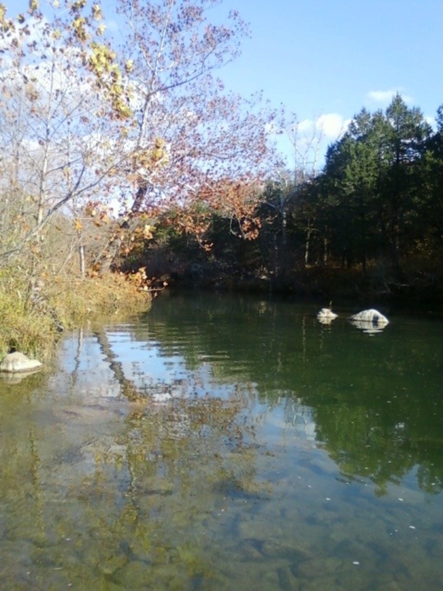 Where to Fish for Rainbow Trout at Hughes Crossing on the Blue River ...