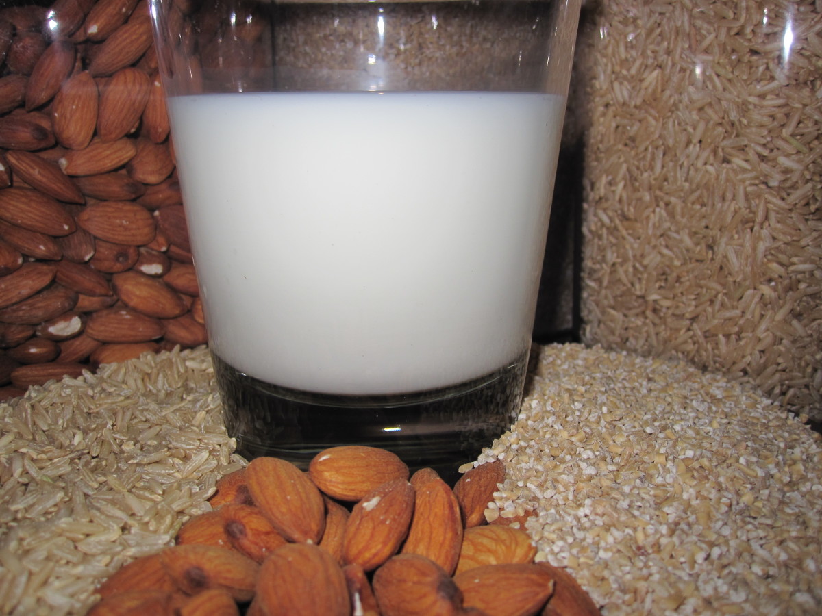 10 Different Types of Non-Dairy Milk (With Recipes) - HubPages