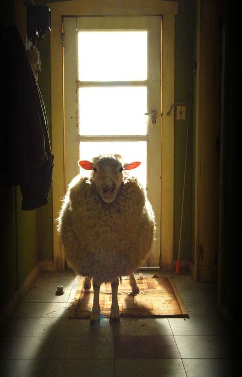 The Best Socially Awkward Comedy Films of All Time - HubPages