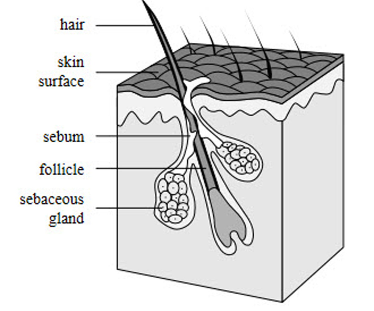What Are Chemo Curls? Hair Regrowth After Cancer Treatment - Patient's ...