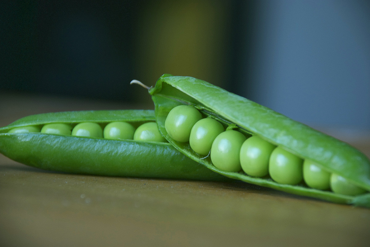 How to Grow Organic Garden Peas - HubPages