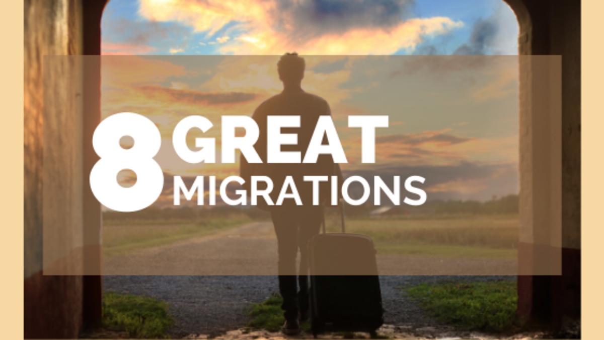 8 of the Greatest Migrations in History - Owlcation