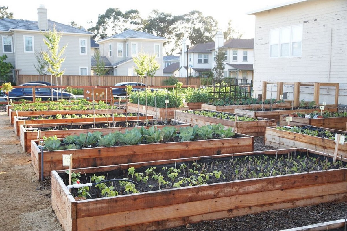 Cost To Build Raised Garden Bed Kobo Building