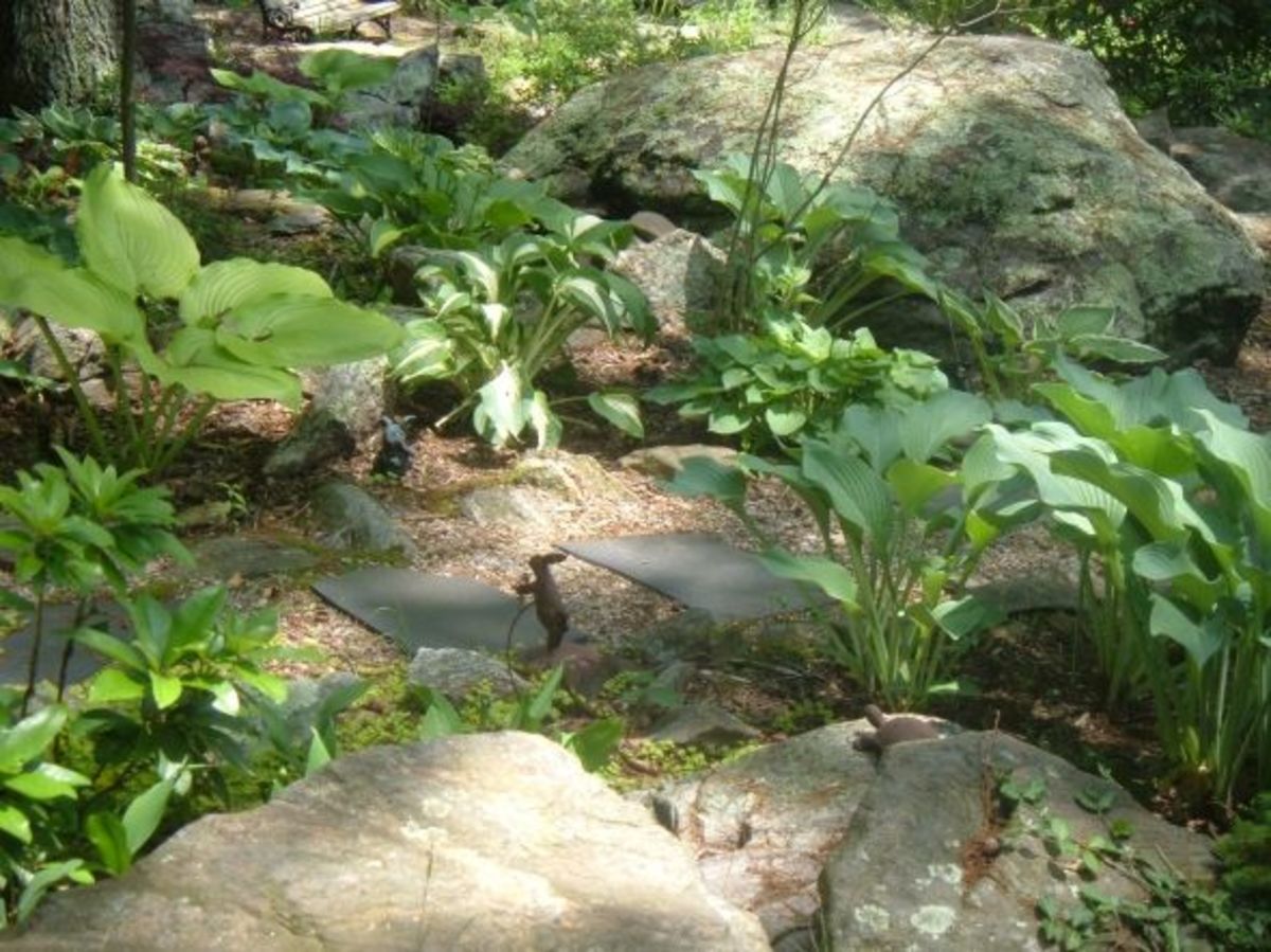 How We Designed and Created Our Rock Gardens: Landscaping Our Yard With ...