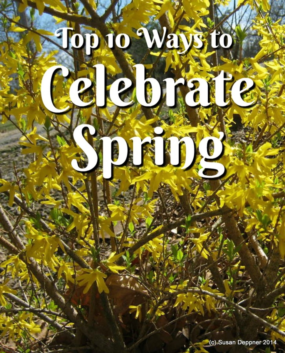 Top 10 Ways To Celebrate Spring Holidappy