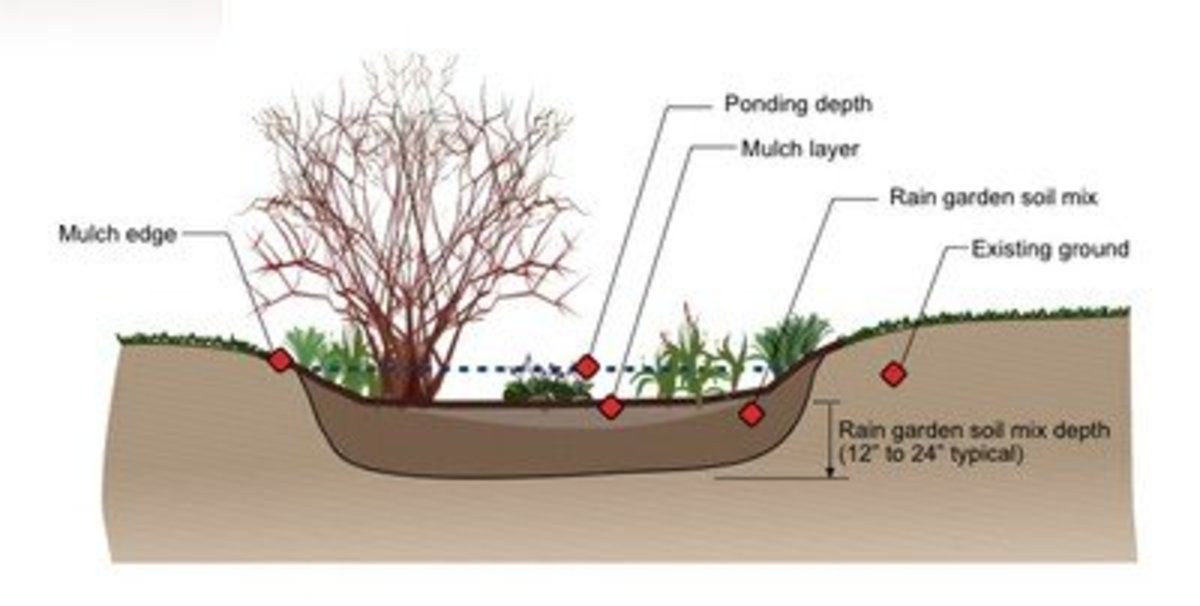 How Rain Gardens Complement Climate Victory Gardens - HubPages
