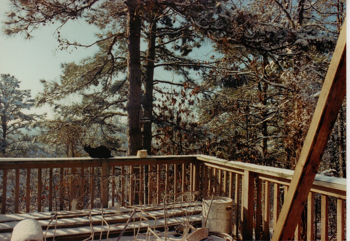 Underground Houses: Pros, Cons, and Why We Don't Like Ours - HubPages