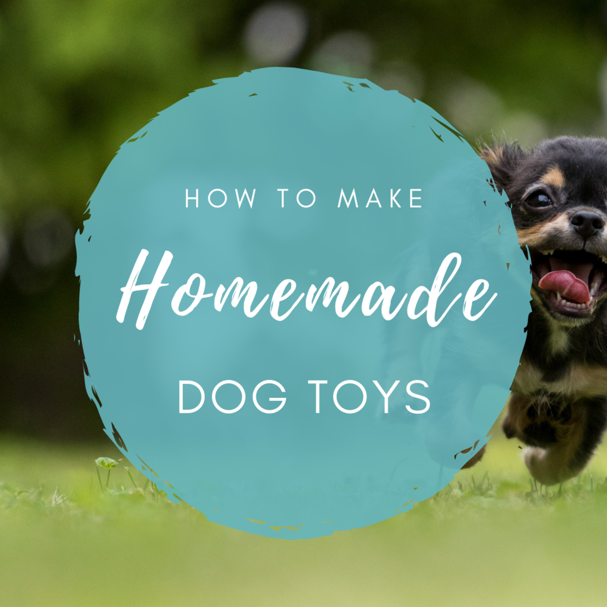 How To Make Your Own Homemade Dog Toys PetHelpful