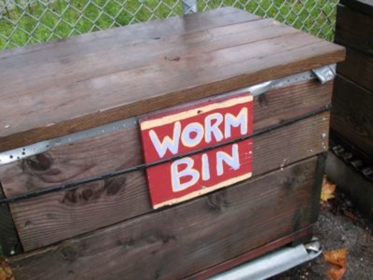 How to Make a Worm Pile for Organic Compost - HubPages