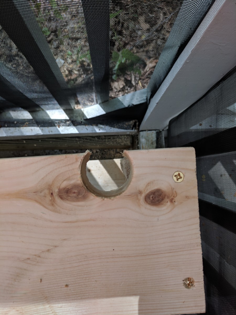 Build a DIY Porch or Patio Potty for Your Dog - HubPages