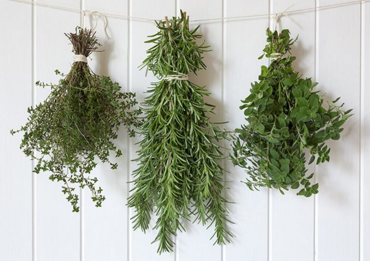 How to Dry Herbs From the Garden - HubPages