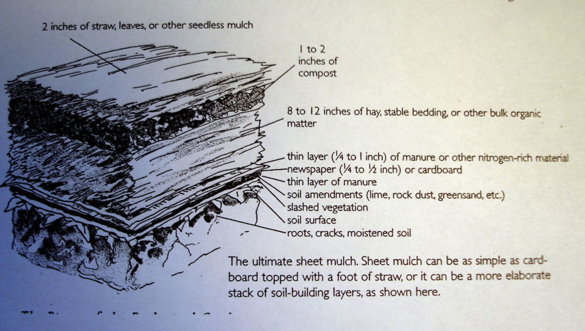 Make a New Garden Bed With Sheet Mulching - HubPages