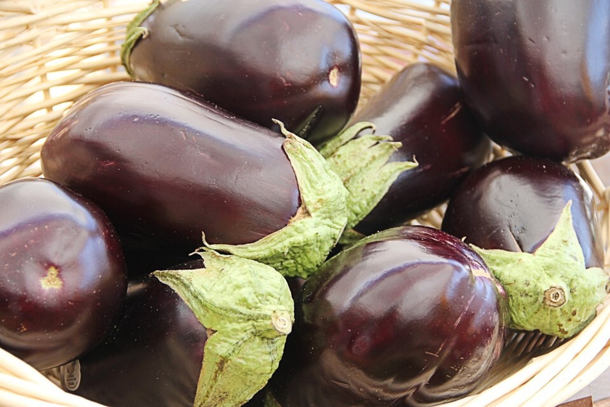 Solanine, Green Potatoes, Nightshades, and Arthritis - HubPages