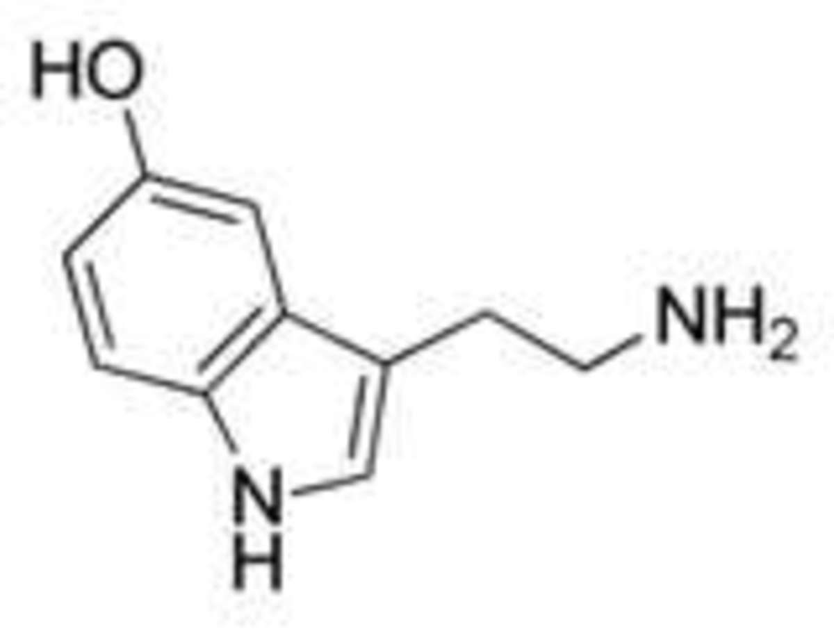Serotonin's Role in Depression and How SSRIs Can Help - HubPages