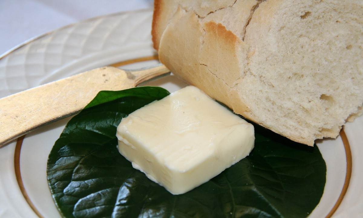 Intestinal Bacteria, Butyric Acid Features, and Colon Health - HubPages