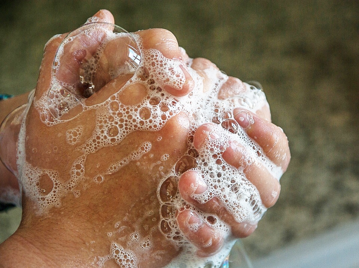 Campylobacter Bacteria, Gastroenteritis, and Foodborne Illness - HubPages