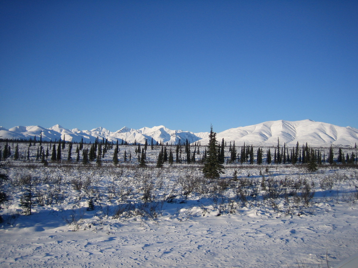 The Cowboy State Welcomes Billy the Kid: The Short Story Continues ...