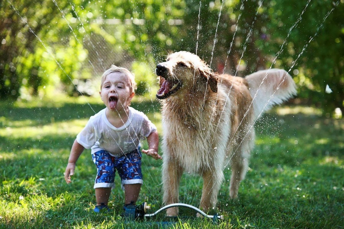 How to Keep Your Child Safe Around Dogs (and Vice Versa) - HubPages