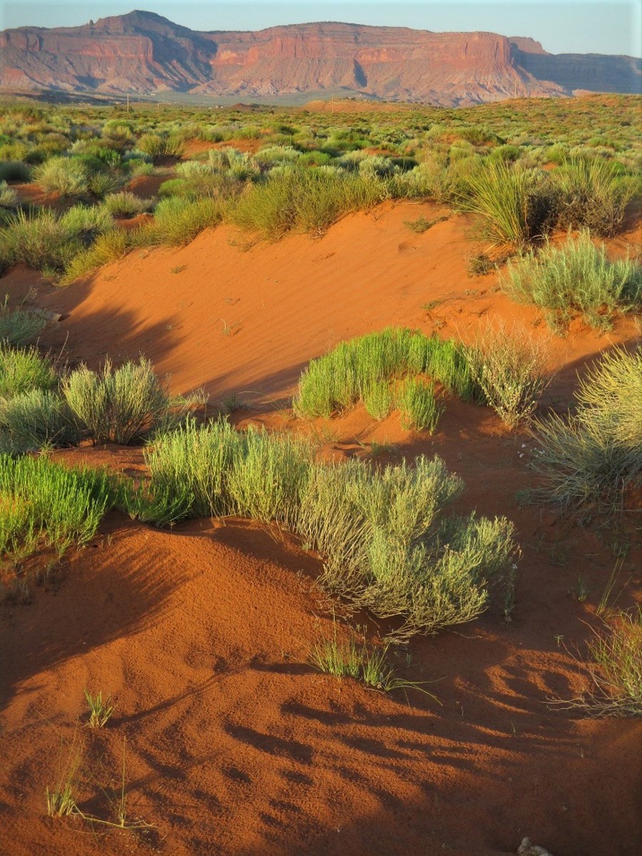 7 Tips for Hiking in the Desert Southwest - HubPages