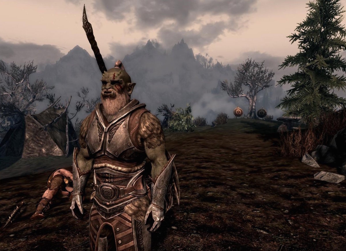 Skyrim Sword And Shield Race Loxajs Skyrim Sword And Shield Race Loxajs
