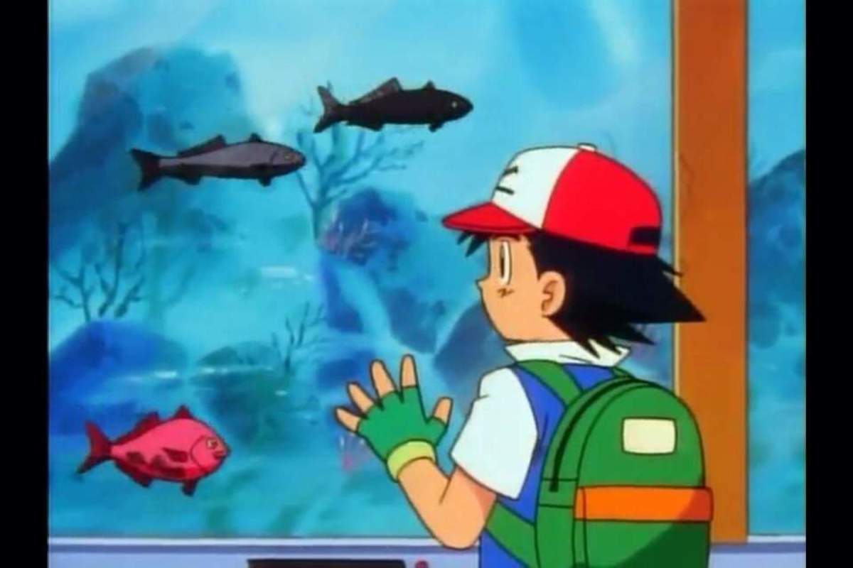 Top 15 "Pokémon" Misconceptions - HubPages