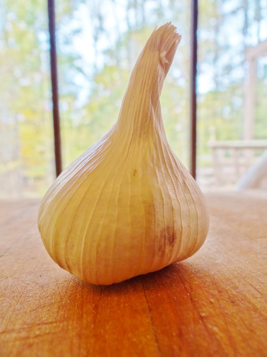 How to Get Rid of Pinworms: A Mother's Story - HubPages