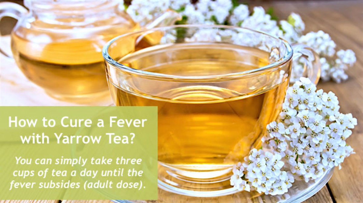 Top 8 Home Remedies to Reduce a Fever - RemedyGrove