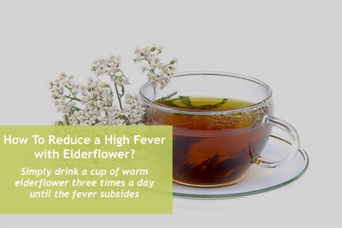 Top 8 Home Remedies to Reduce a Fever - RemedyGrove