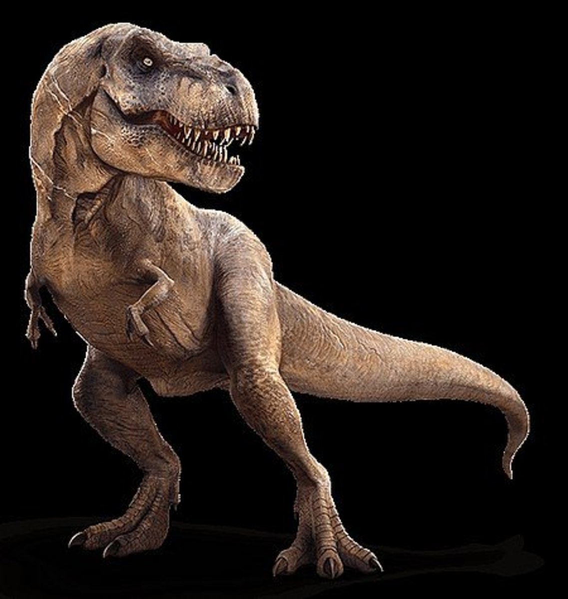 Tiranossauro Rex Tiranossauro Rex
