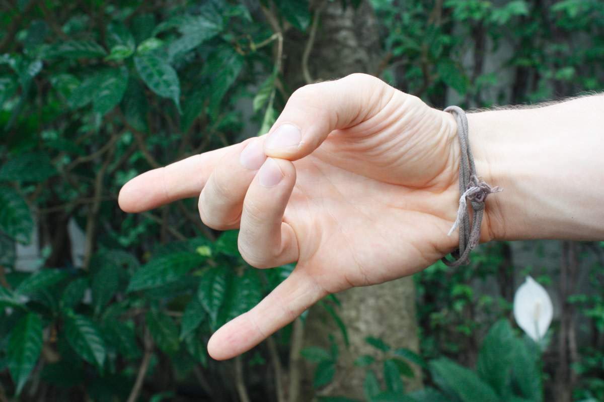 A Basic Guide to Hand Mudras - HubPages