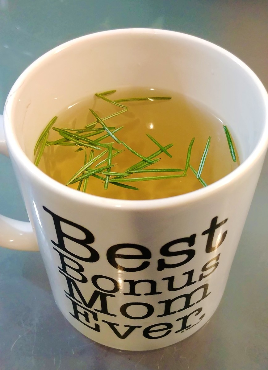 Winter Wild Treats: How to Make Pine Needle Tea - RemedyGrove